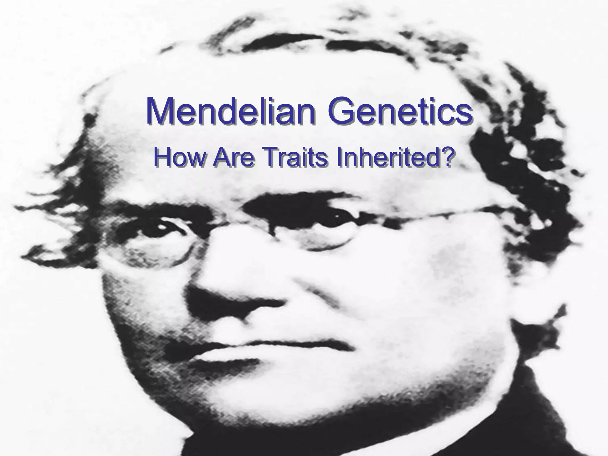 Mendel Genetics PPT.ppt