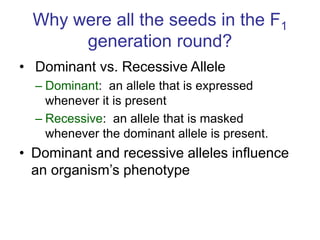 Mendel Genetics PPT.ppt