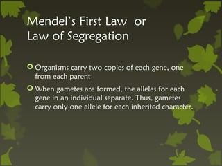 Mendel & Heredity | PPT