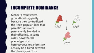 Mendelian - Heredity | PPTX