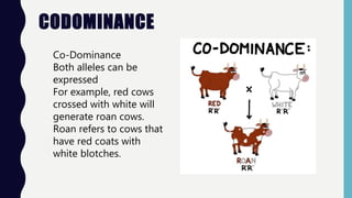 Mendelian - Heredity | PPT | Free Download