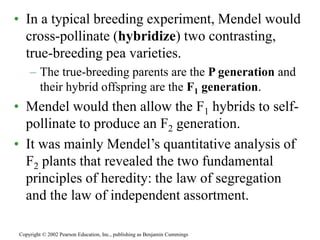 Mendelian-Genetics-1.ppt