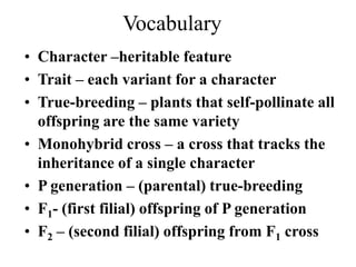 Mendelian-Genetics-1.ppt