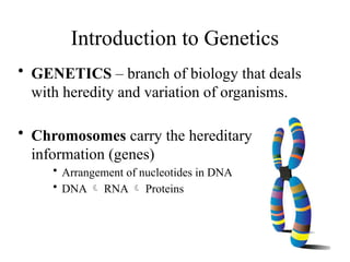 mendelian-genetics-1 GENETICS POWERPOINT .pptx