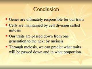 Mendelian Genetics | PPT