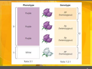 Mendelian-Genetics-2020-Final-Autosaved-students-copy.ppt