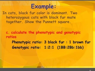 Mendelian-Genetics-2020-Final-Autosaved-students-copy.ppt