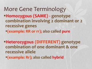 Mendelian-Genetics biology...........................................pdf
