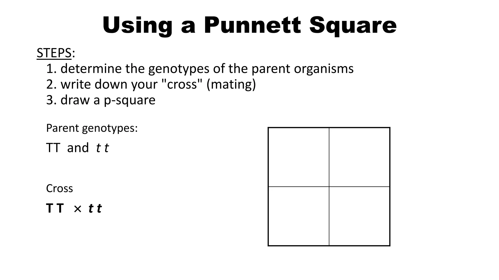 Mendelian-Genetics(Science grade 9).pptx