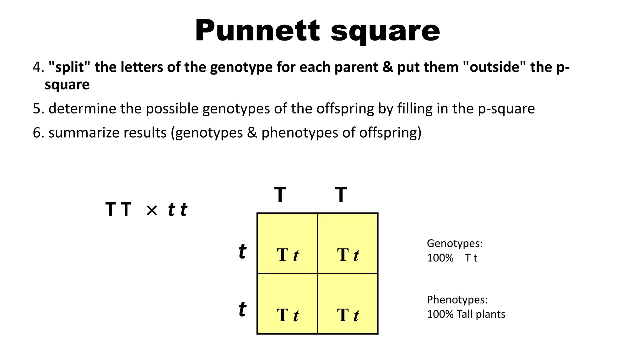 Mendelian-Genetics(Science grade 9).pptx | Genetics | Science