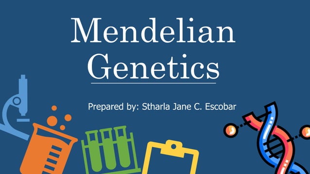 Mendelian-Genetics(Science grade 9).pptx | Genetics | Science