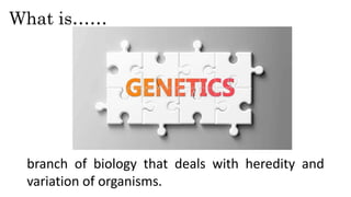Mendelian-Genetics(Science grade 9).pptx