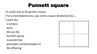 Mendelian-Genetics(Science grade 9).pptx