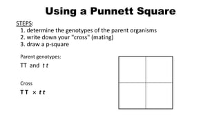Mendelian-Genetics(Science grade 9).pptx