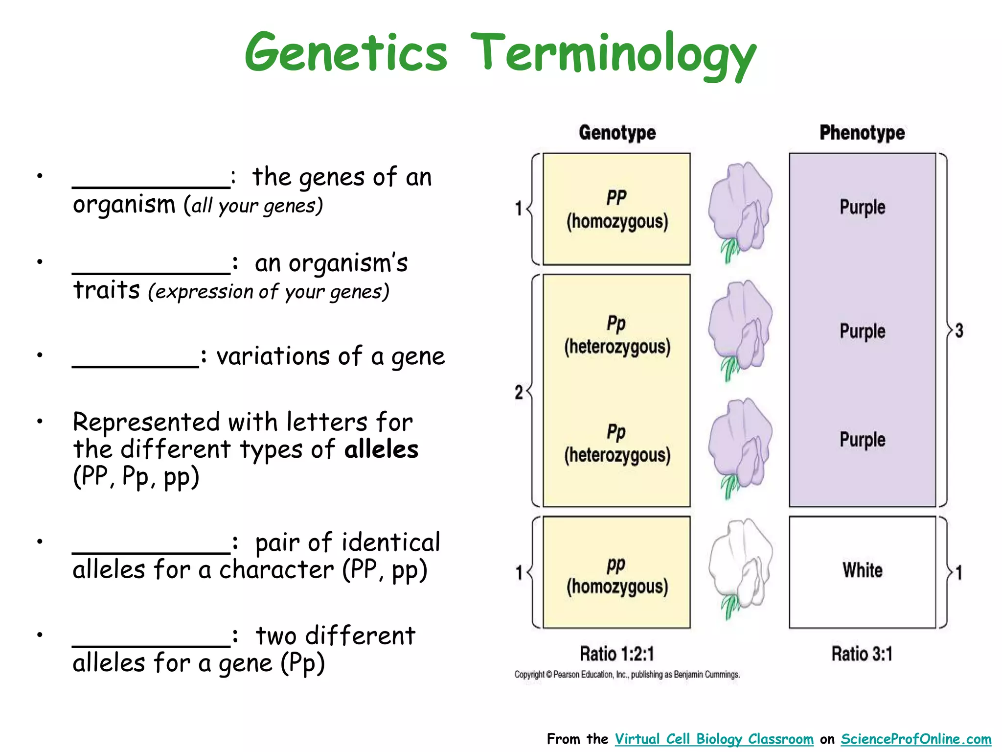 Mendelian-Genetics-Heredity-Biology-Lecture-PowerPoint-VCBC.ppt