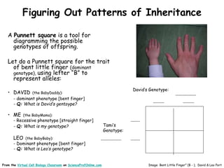 Mendelian-Genetics-Heredity-Biology-Lecture-PowerPoint-VCBC.ppt
