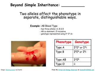 Mendelian-Genetics-Heredity-Biology-Lecture-PowerPoint-VCBC.ppt
