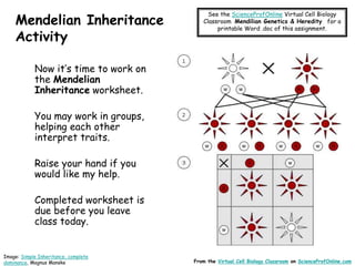 Mendelian-Genetics-Heredity-Biology-Lecture-PowerPoint-VCBC.ppt