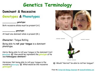 Mendelian-Genetics-Heredity-Biology-Lecture-PowerPoint-VCBC.ppt