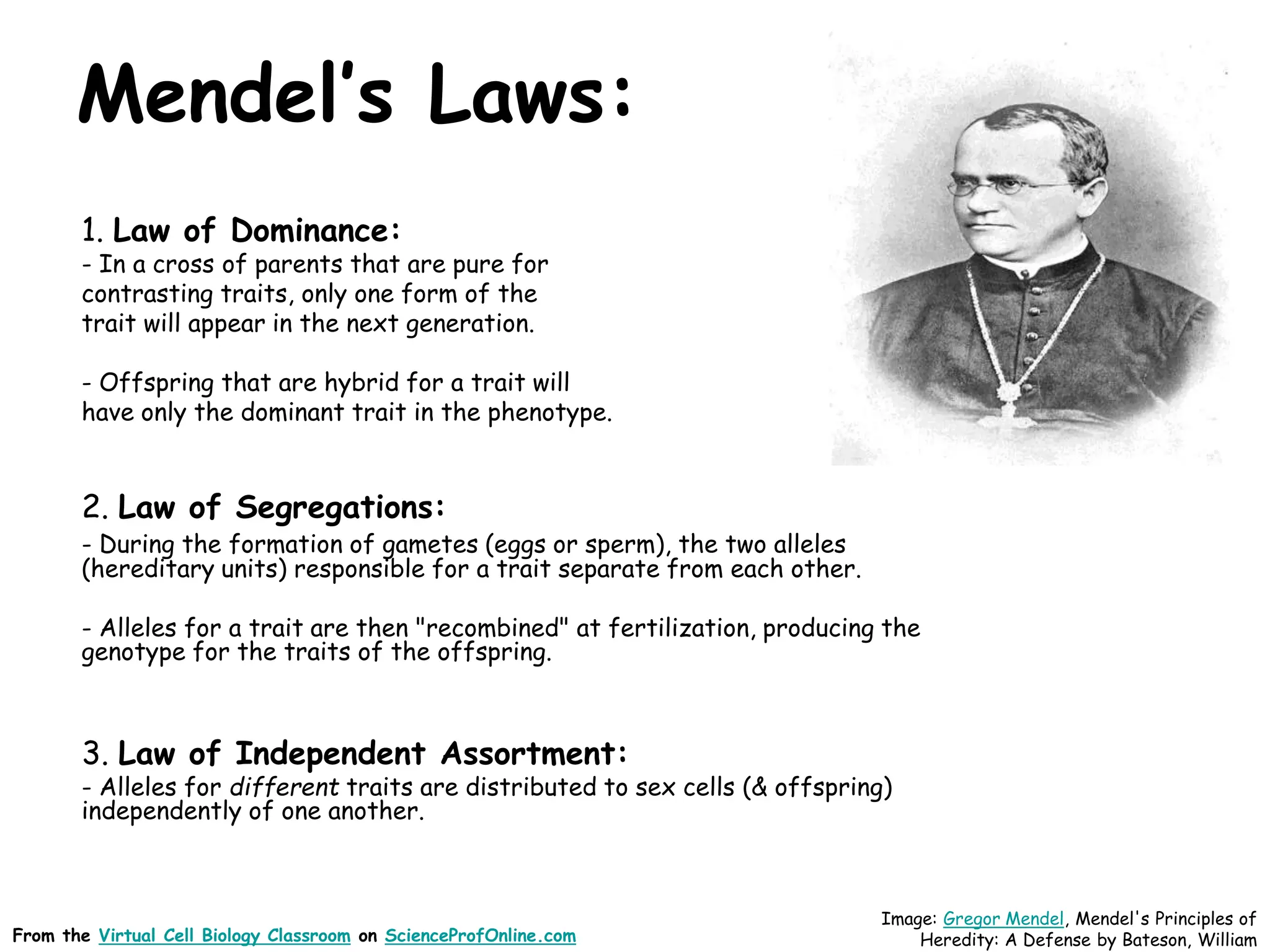 Mendelian-Genetics-Heredity-Biology-Lecture-PowerPoint-VCBC.ppt