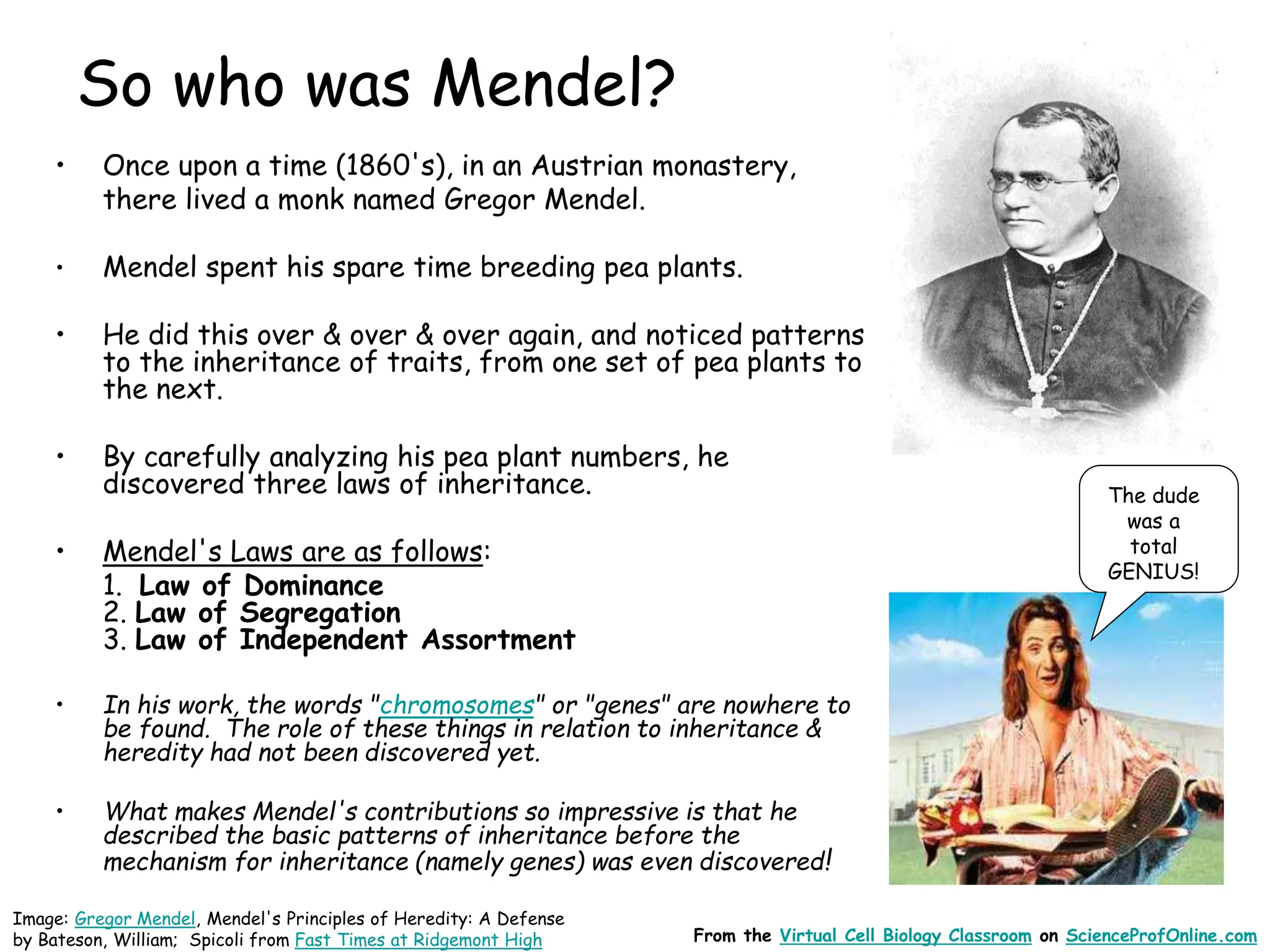 Mendelian-Genetics-Heredity-Biology-Lecture-PowerPoint-VCBC.ppt ...