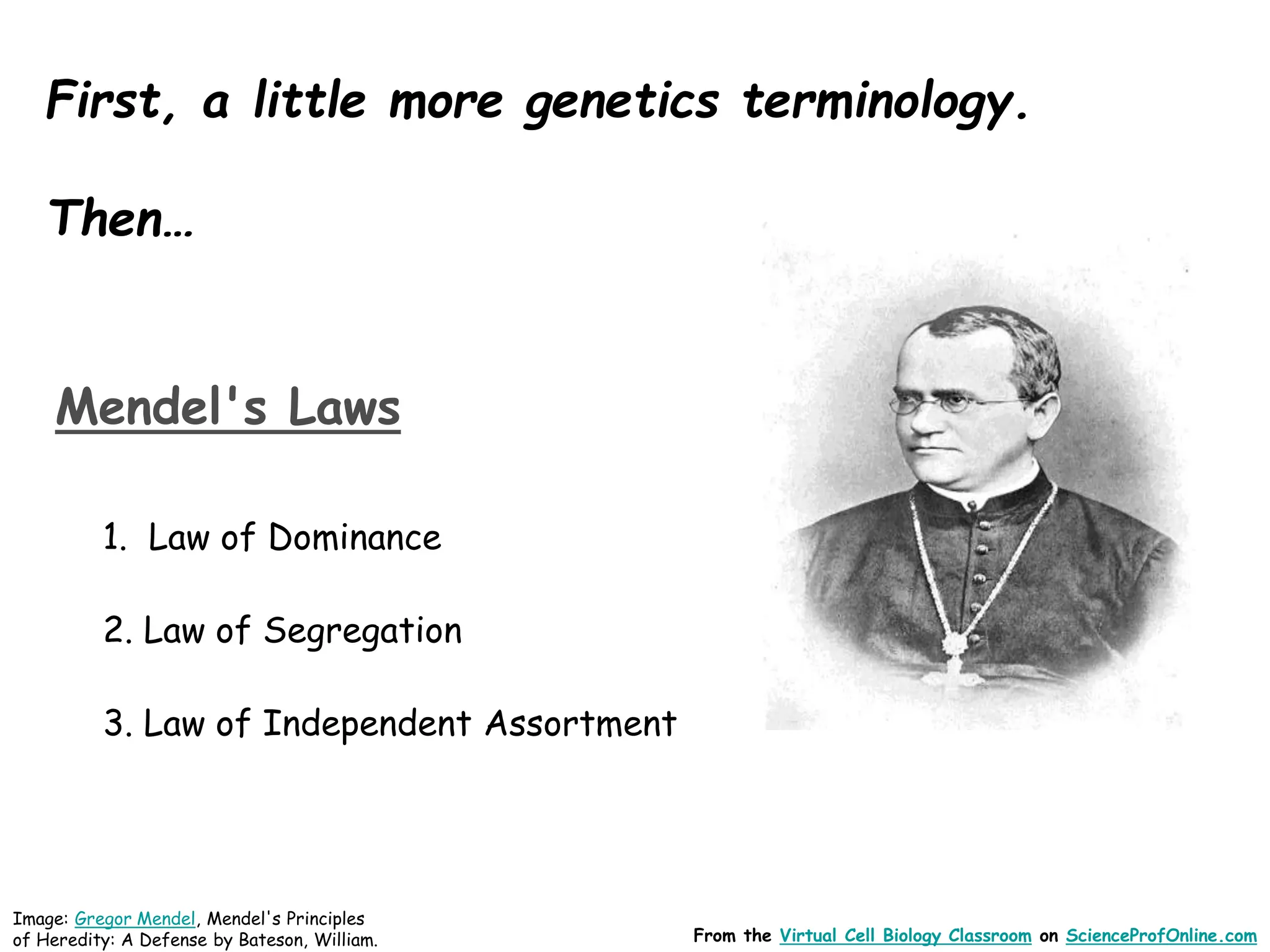 Mendelian-Genetics-Heredity-Biology-Lecture-PowerPoint-VCBC.ppt ...
