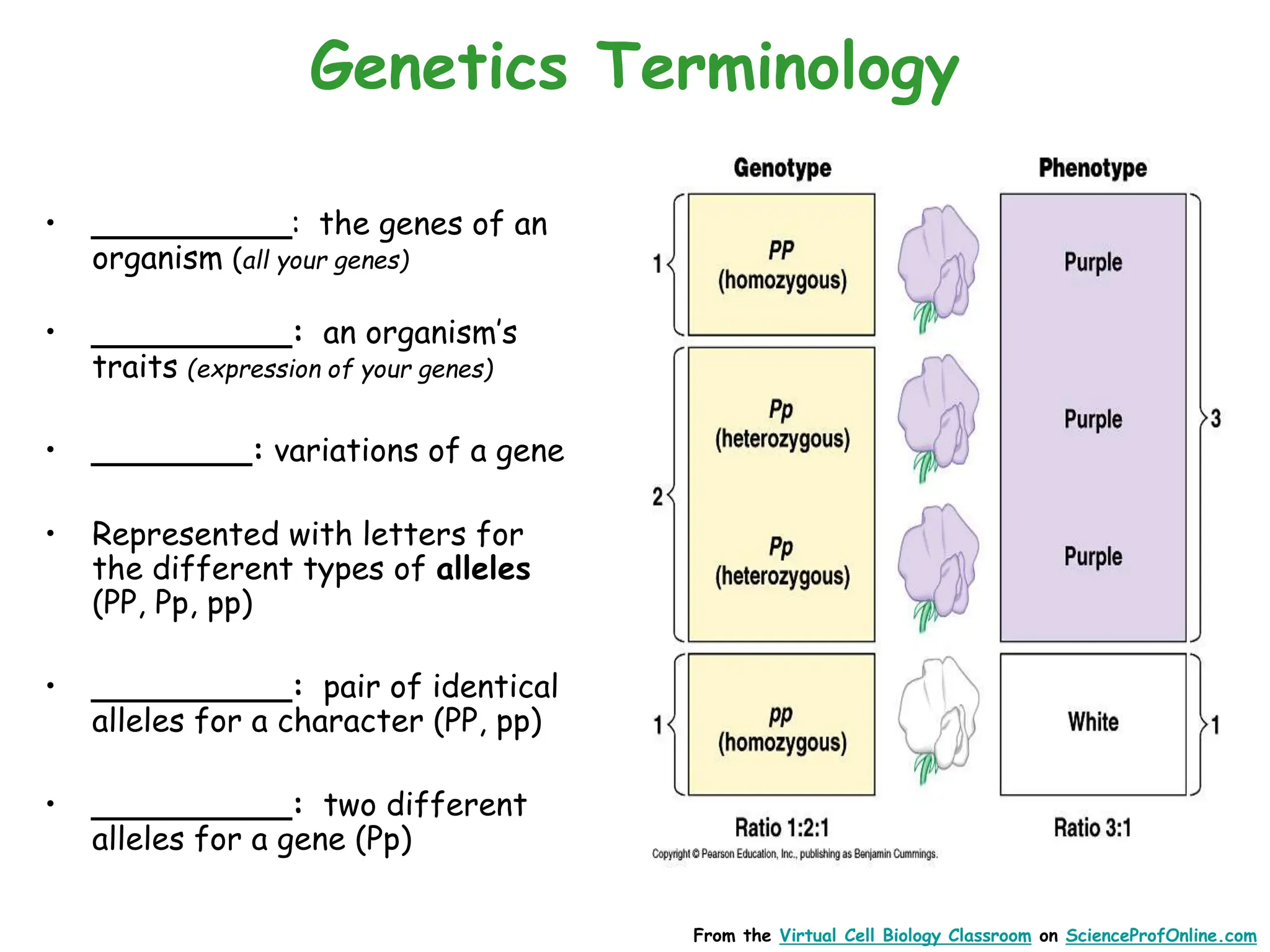 Mendelian-Genetics-Heredity-Biology-Lecture-PowerPoint-VCBC.ppt ...