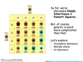 Mendelian-Genetics-Heredity-Biology-Lecture-PowerPoint-VCBC.ppt ...