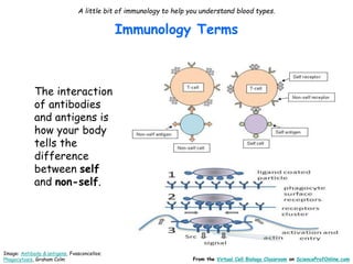Mendelian-Genetics-Heredity-Biology-Lecture-PowerPoint-VCBC.ppt