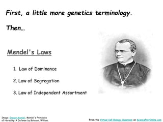 Mendelian-Genetics-Heredity-Biology-Lecture-PowerPoint-VCBC.ppt ...