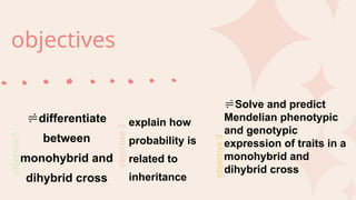 mendelian-genetics-punnett-square.pptx 09 | PPTX