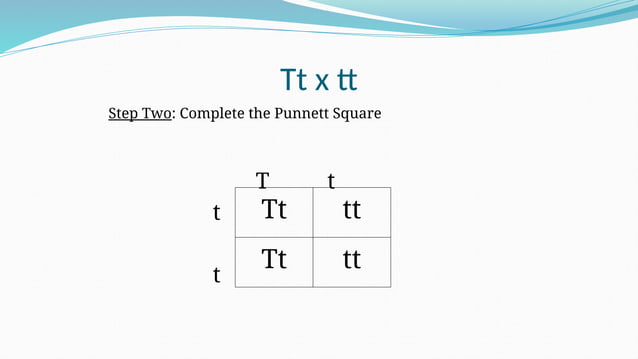 mendelian-genetics-punnett-square.pptx 09 | PPTX