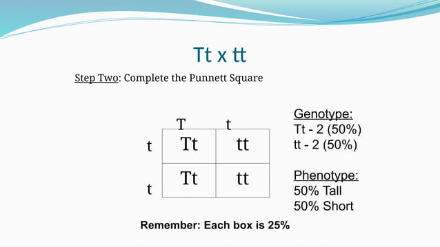 mendelian-genetics-punnett-square.pptx 09 | PPTX