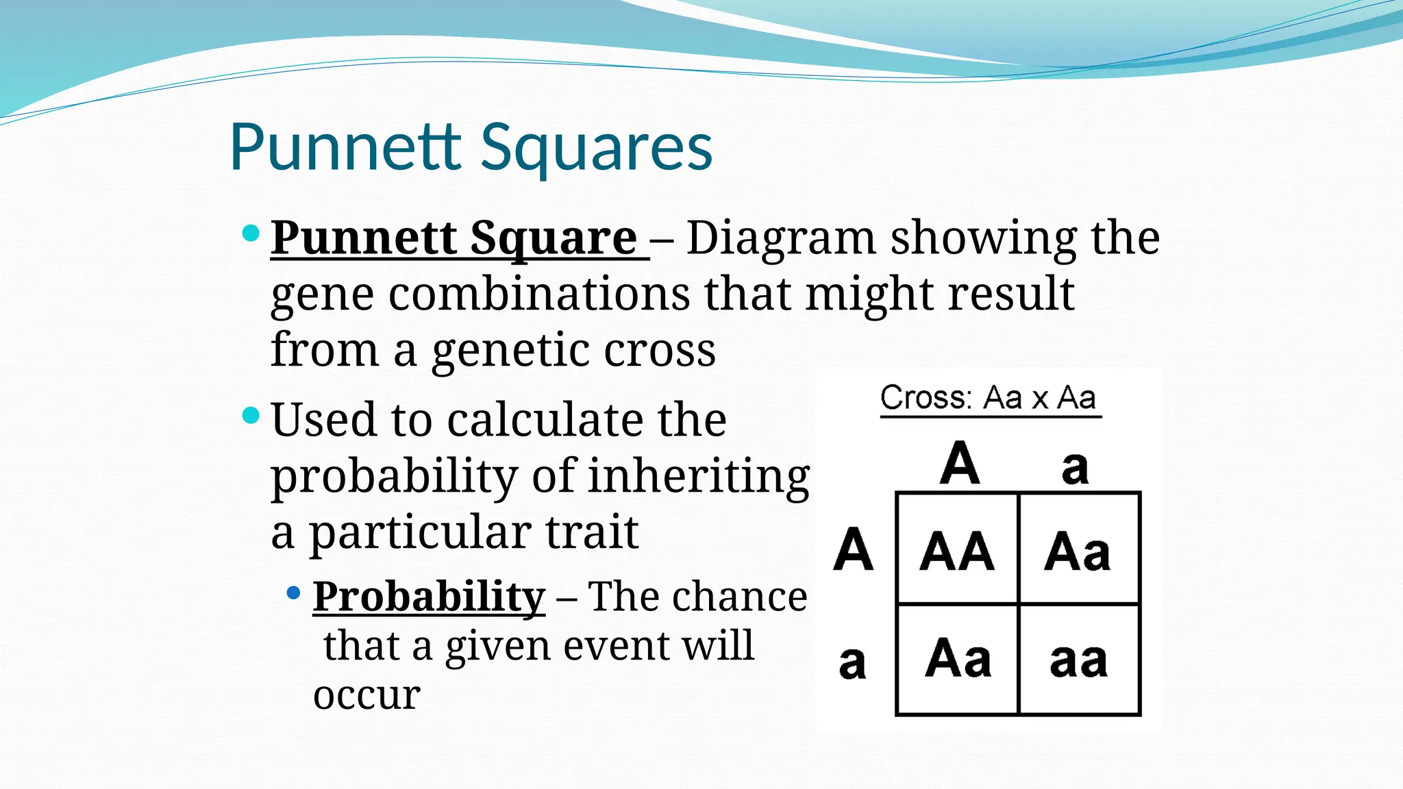 08mendelian-genetics-punnett-square.pptx