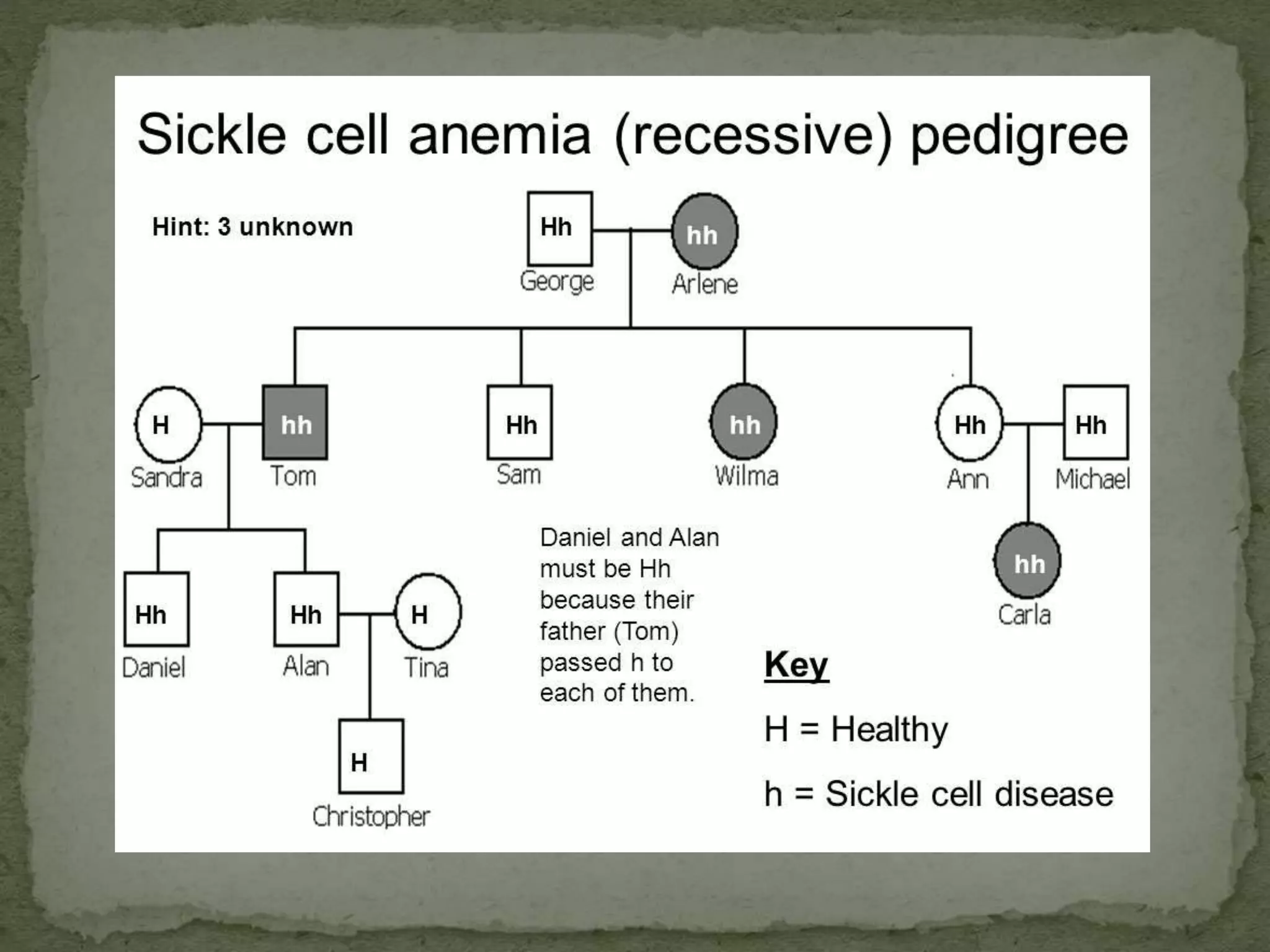 Mendelian disorders in humans | PPTX