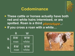 Mendelian exceptions 11 3 | PPT | Genetics | Science