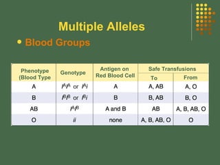 Mendelian exceptions 11 3 | PPT | Genetics | Science