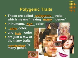 Mendelian exceptions 11 3 | PPT | Genetics | Science