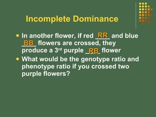 Mendelian exceptions 11 3 | PPT | Genetics | Science