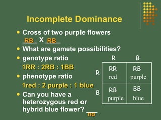 Mendelian exceptions 11 3 | PPT