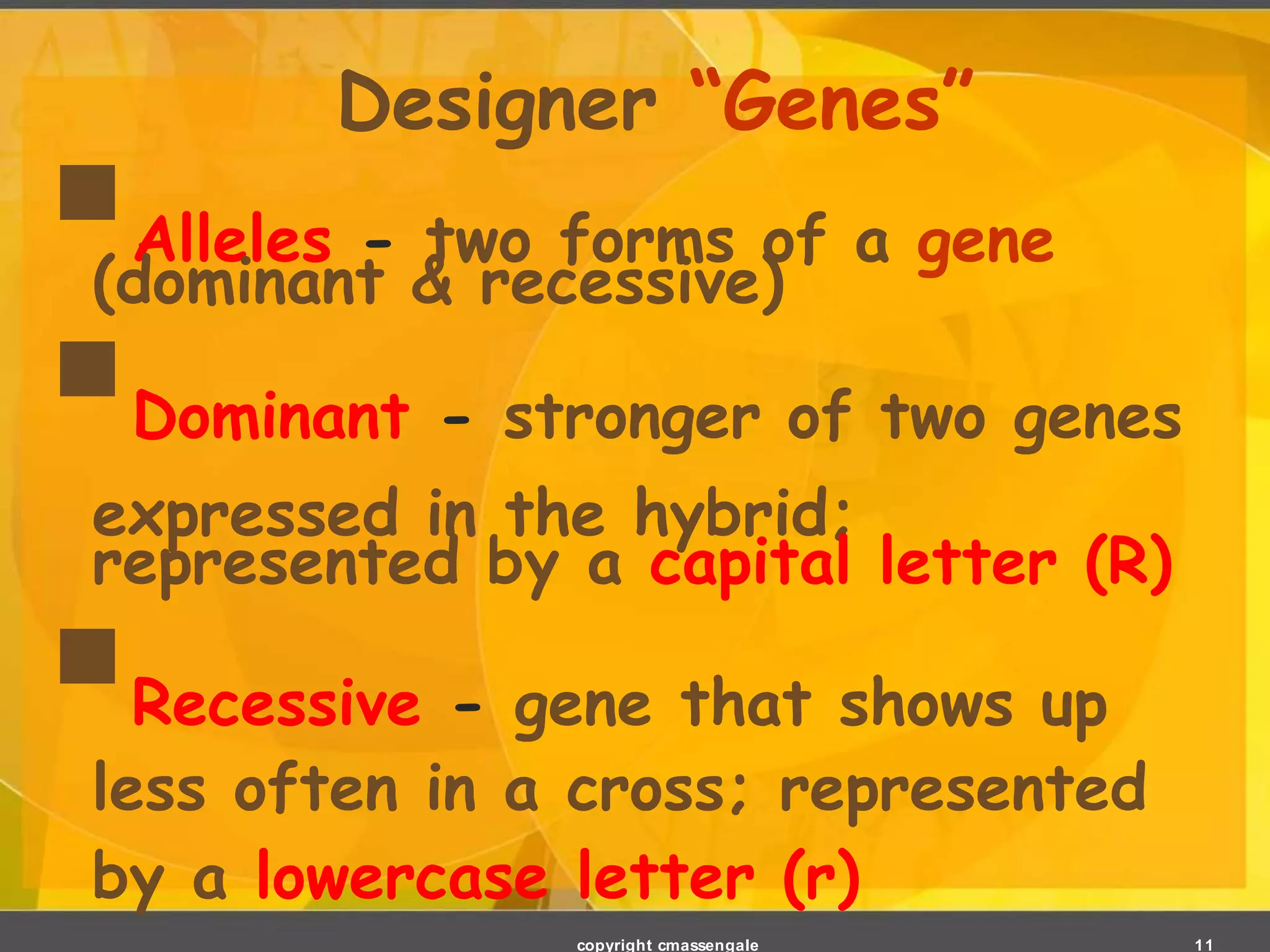 mendeliangenetics-110706200307-phpapp02.pptx