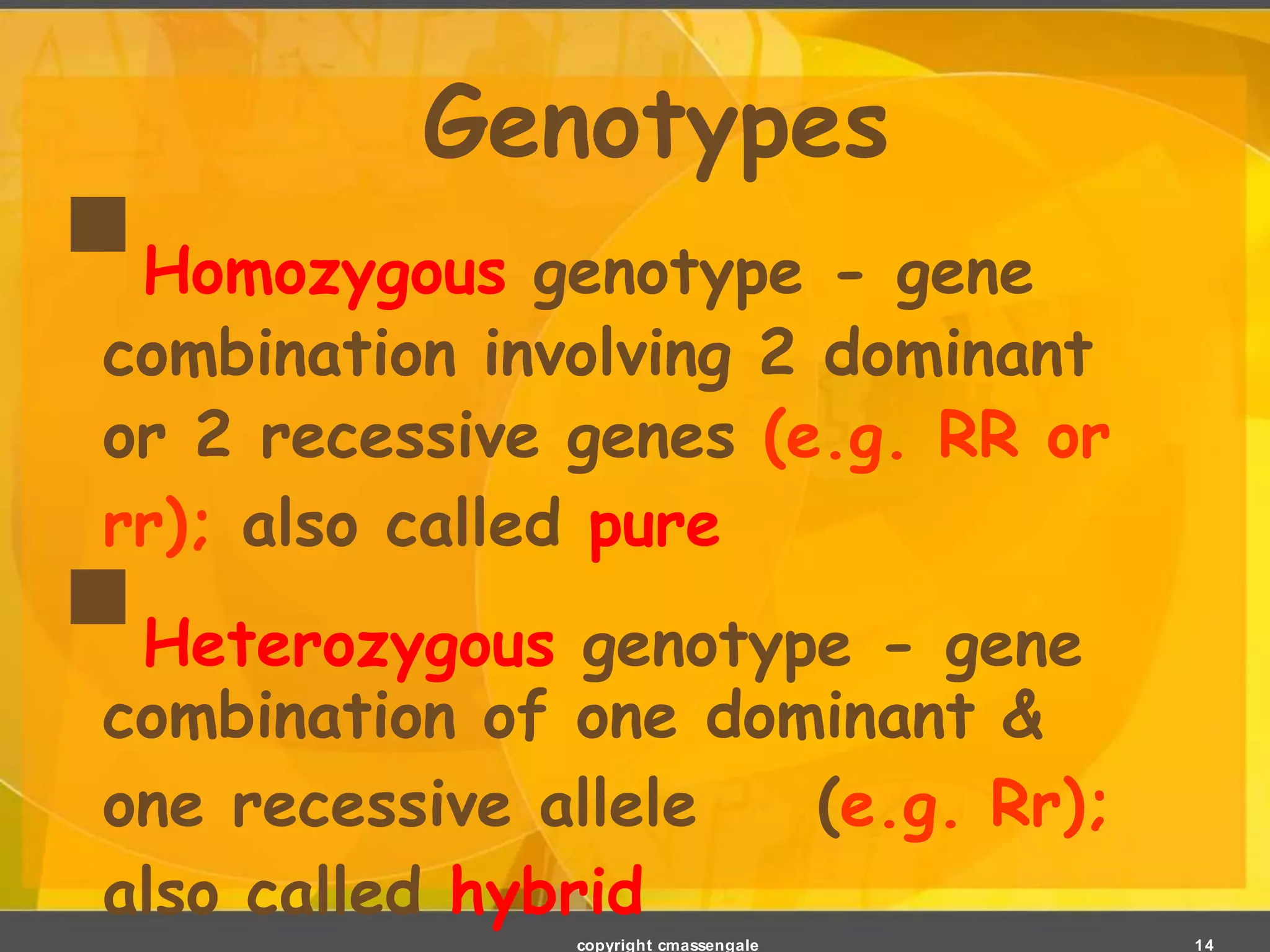 mendeliangenetics-110706200307-phpapp02.pptx