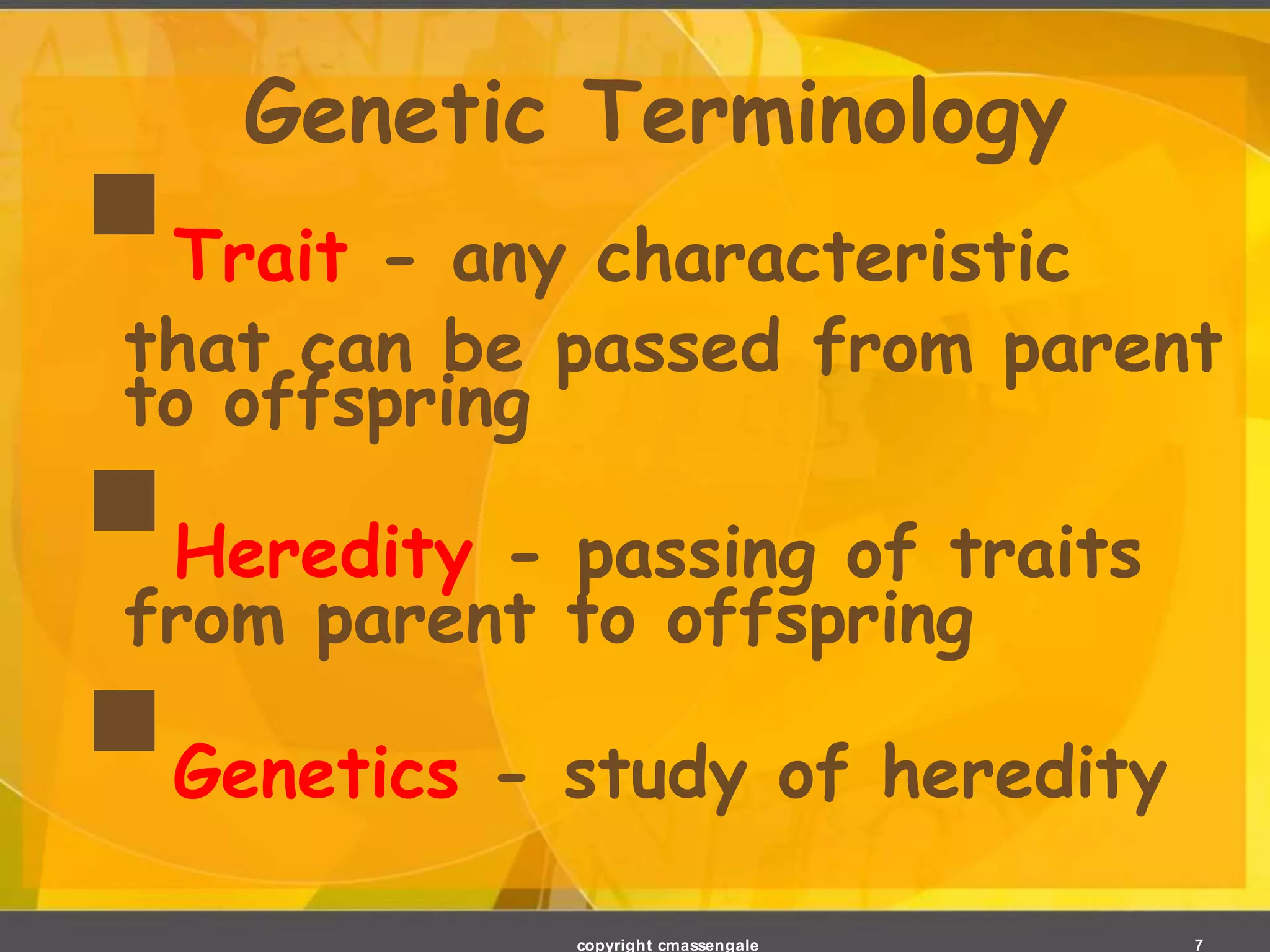 mendeliangenetics-110706200307-phpapp02.pptx