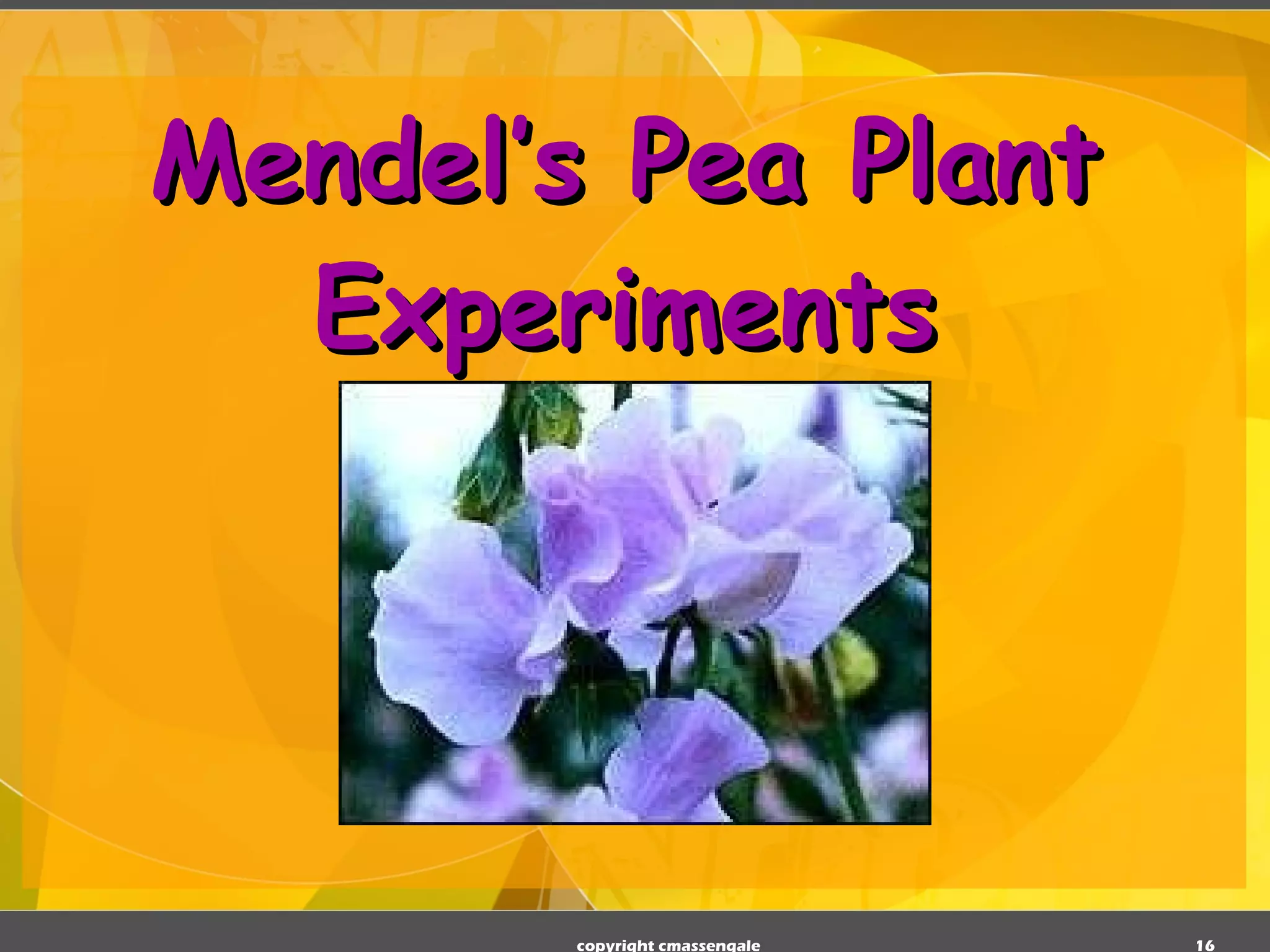 Mendelian genetics | PPT