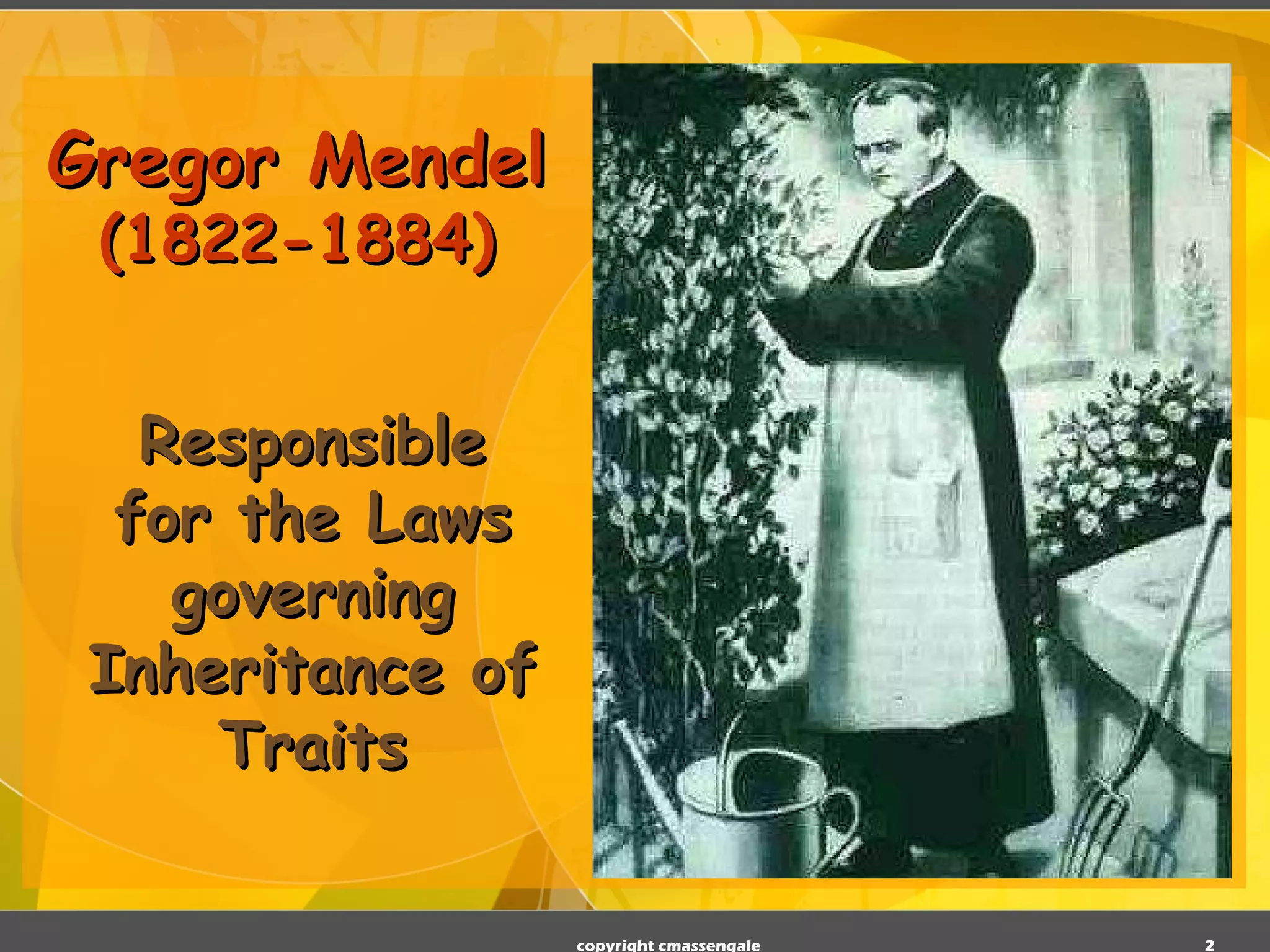 Mendelian genetics | PPT