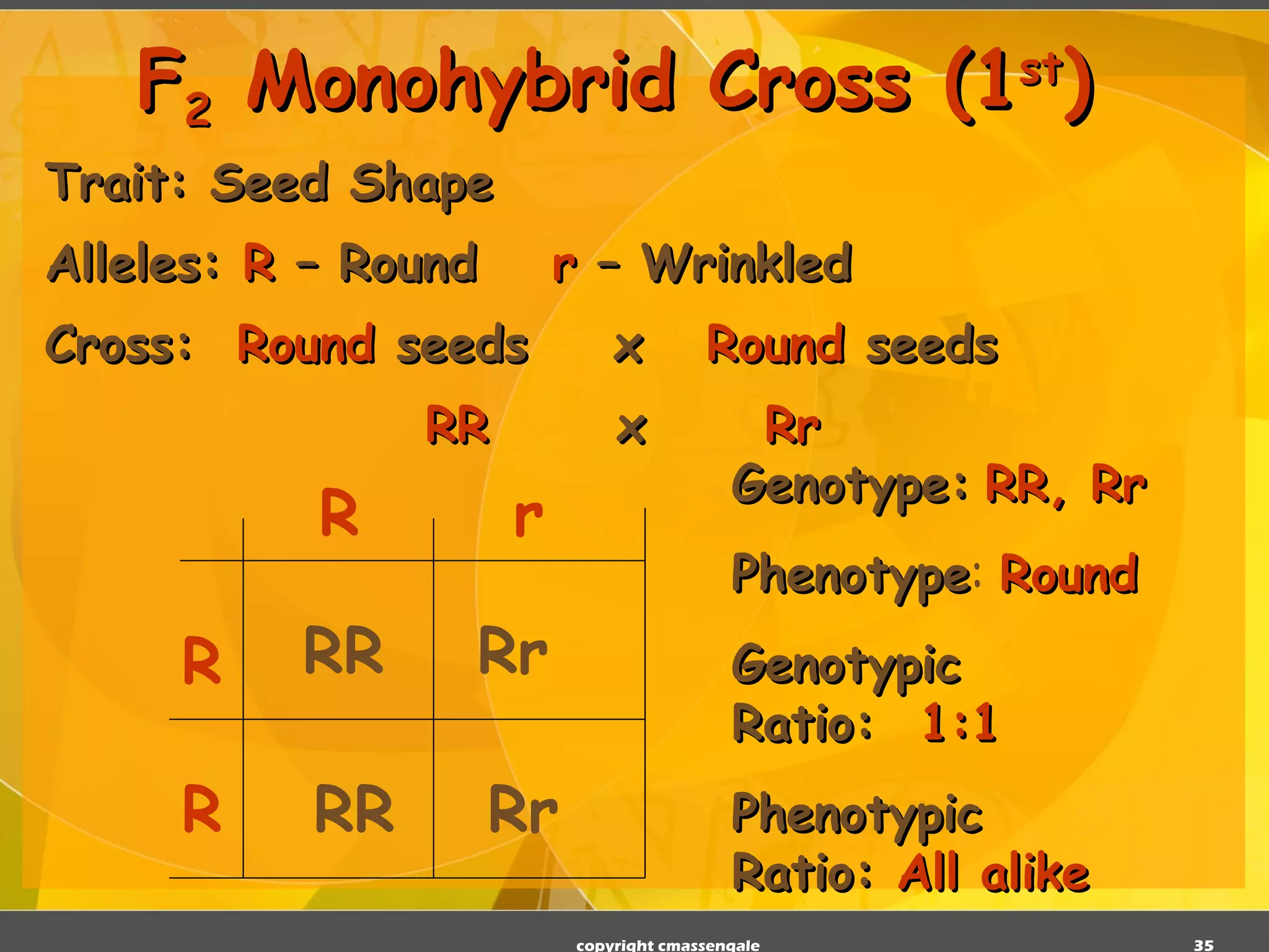 Mendelian genetics | PPT | Genetics | Science