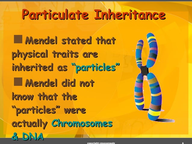 Mendelian genetics | PPT | Genetics | Science