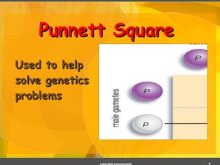 Mendelian genetics | PPT