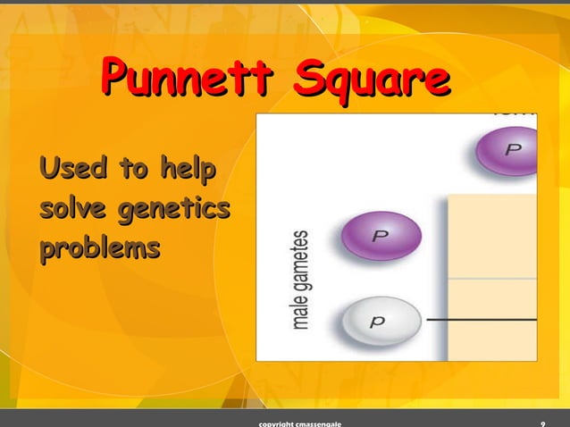 Mendelian genetics | PPT | Genetics | Science
