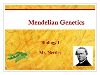 Mendelian genetics | PPT